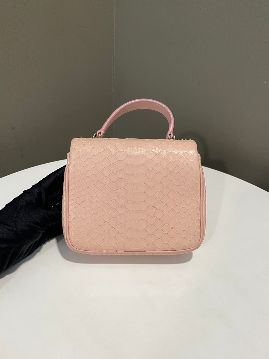 Chanel Python Top Handle Flap Bag Baby Pink Python – LOVELOTSLUXURY